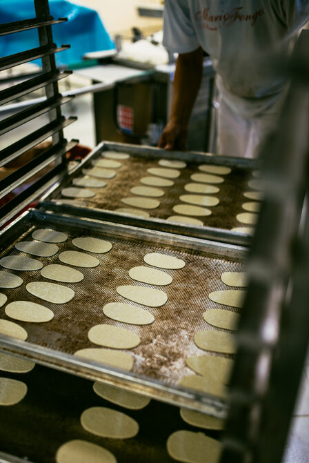 Grissini Rubatà, Mario Fongo - Viani